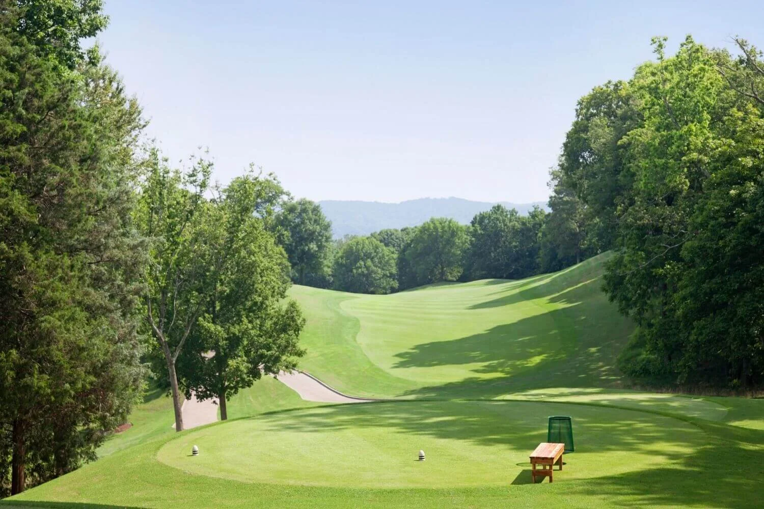 Golf Terms Every Beginner Golfer Should Know