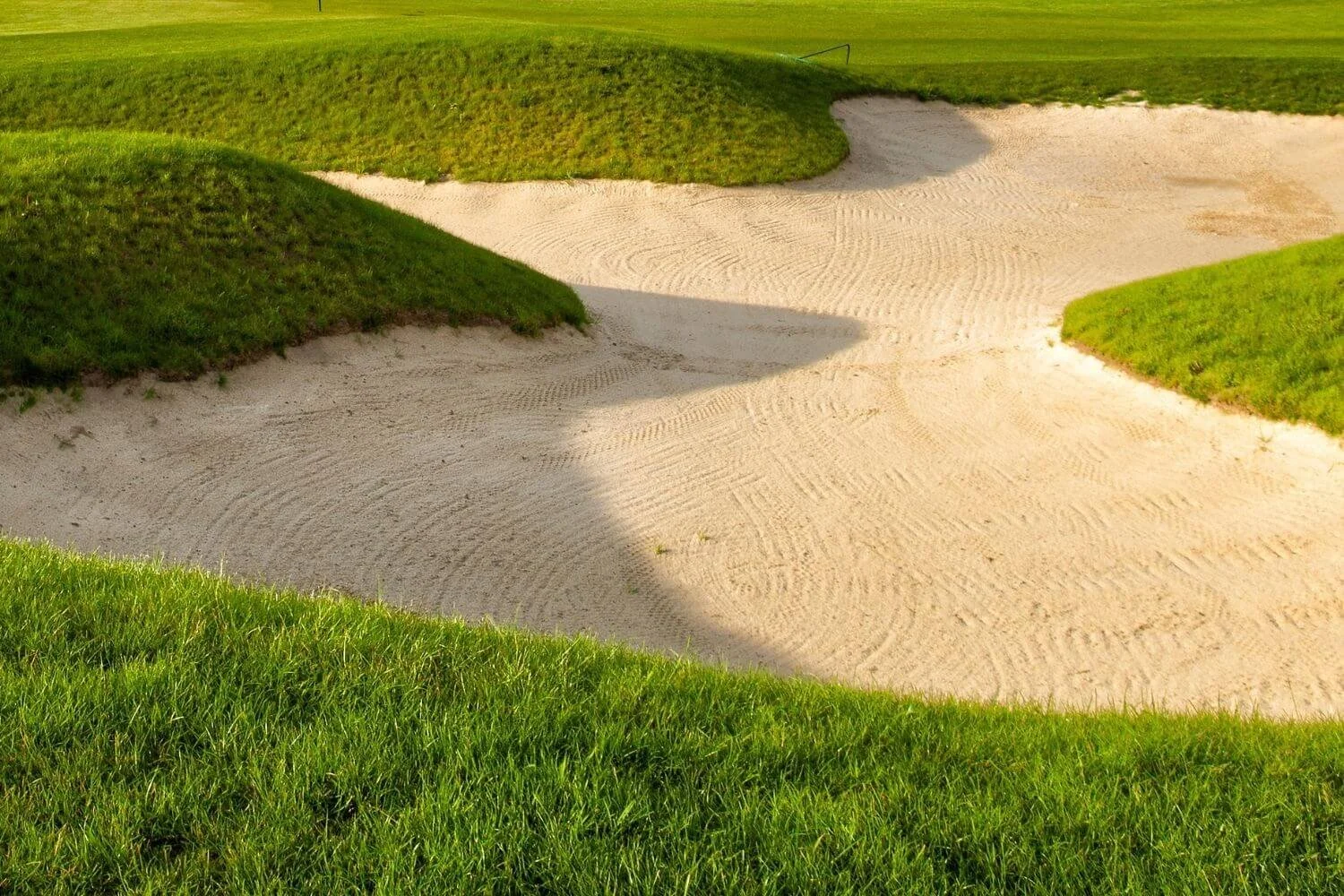 Golf Terms Every Beginner Golfer Should Know