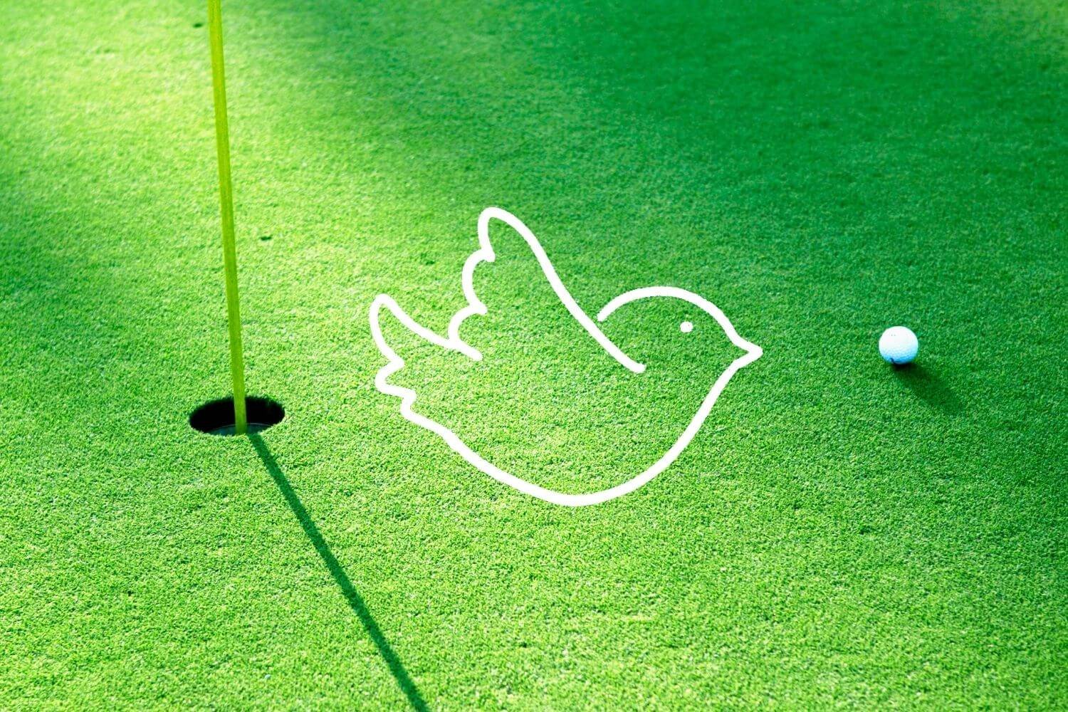 Birdies In Golf: History And Meaning Explained