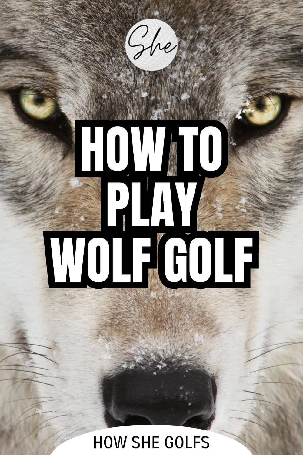 How To Play The Wolf Game In Golf - And Win