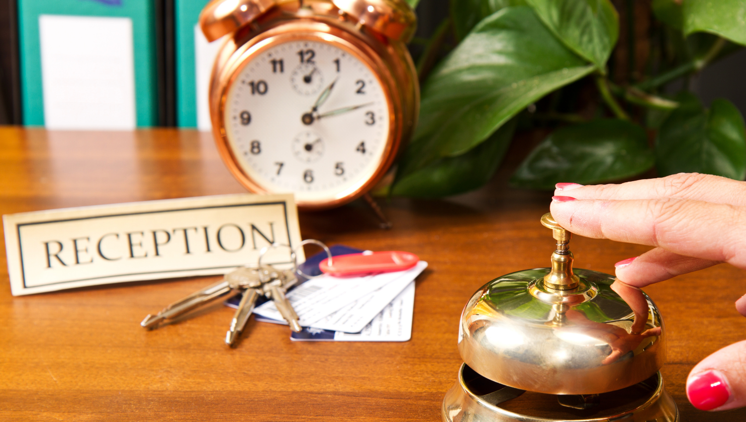 Our Rooms | NC Mountain Boutique Hotel — Blue Ridge Boutique Hotel