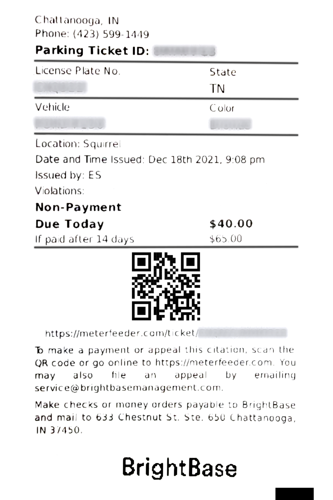 Services 1 — Bright Base