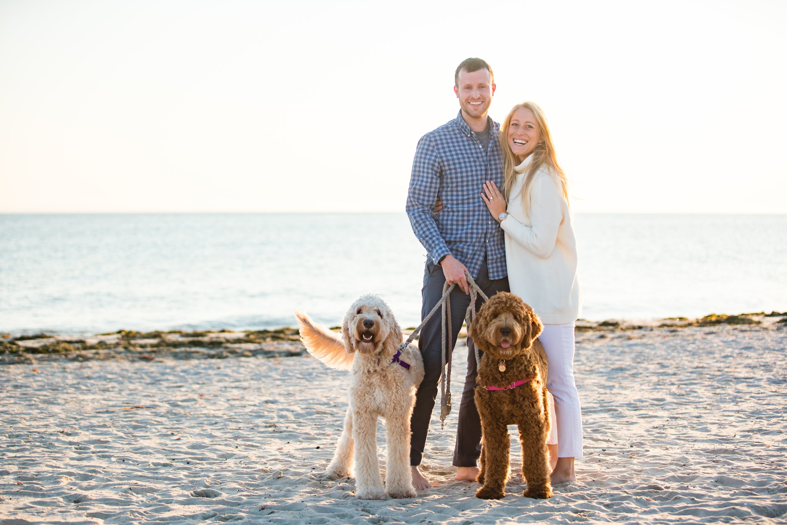 Surprise Marriage Proposals on Cape Cod — Cape Cod, MA Family Photography