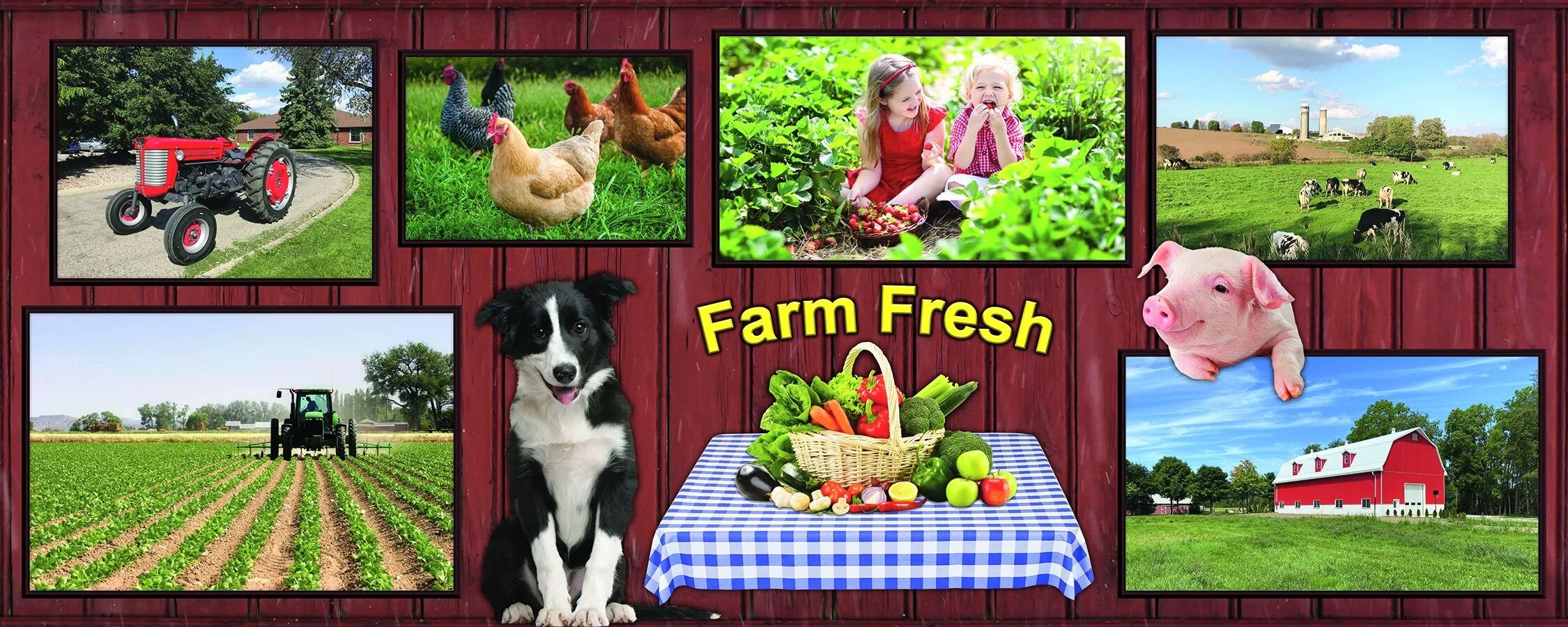 Interactive Murals for memory care — Creative Art Co