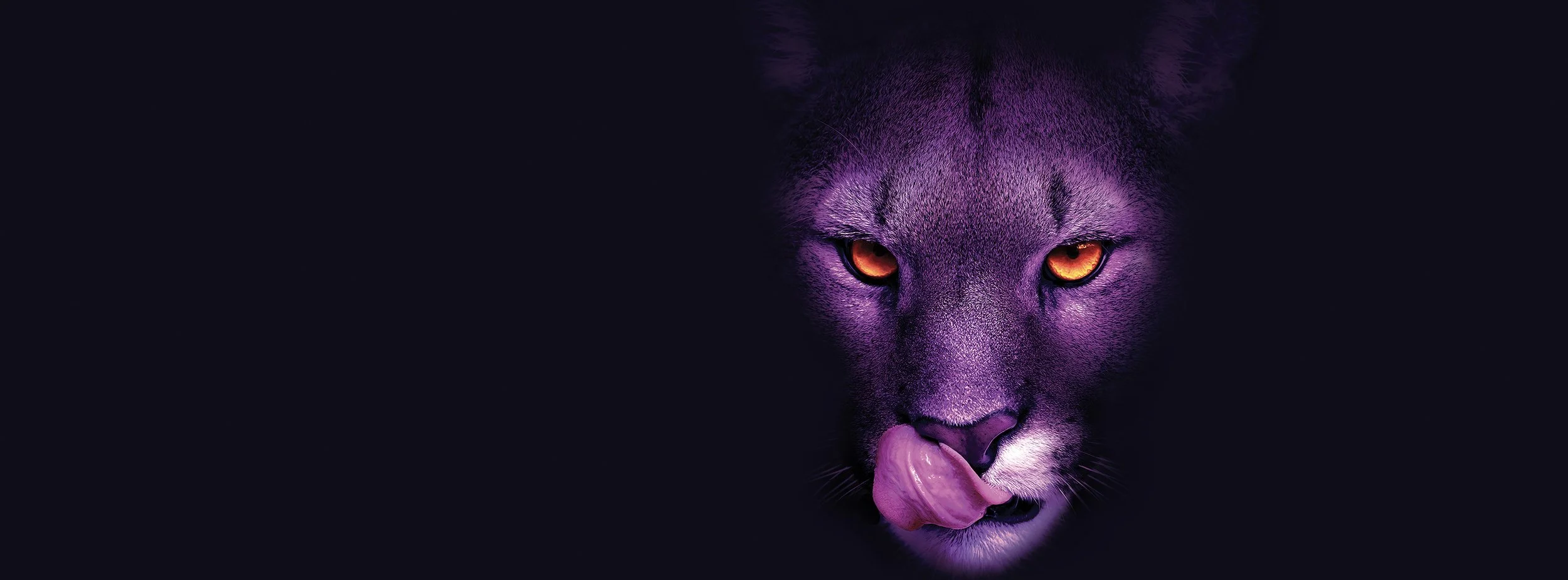 Pounce™ Thrombectomy System