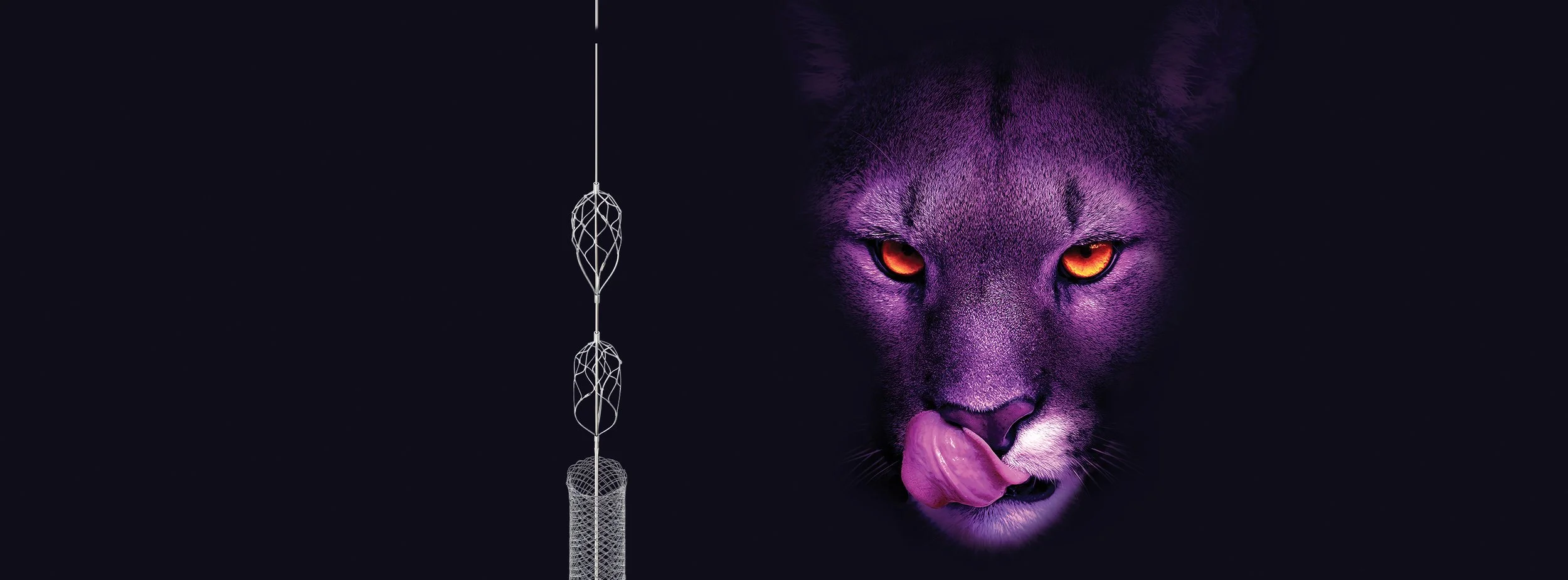 Pounce™ Thrombectomy System