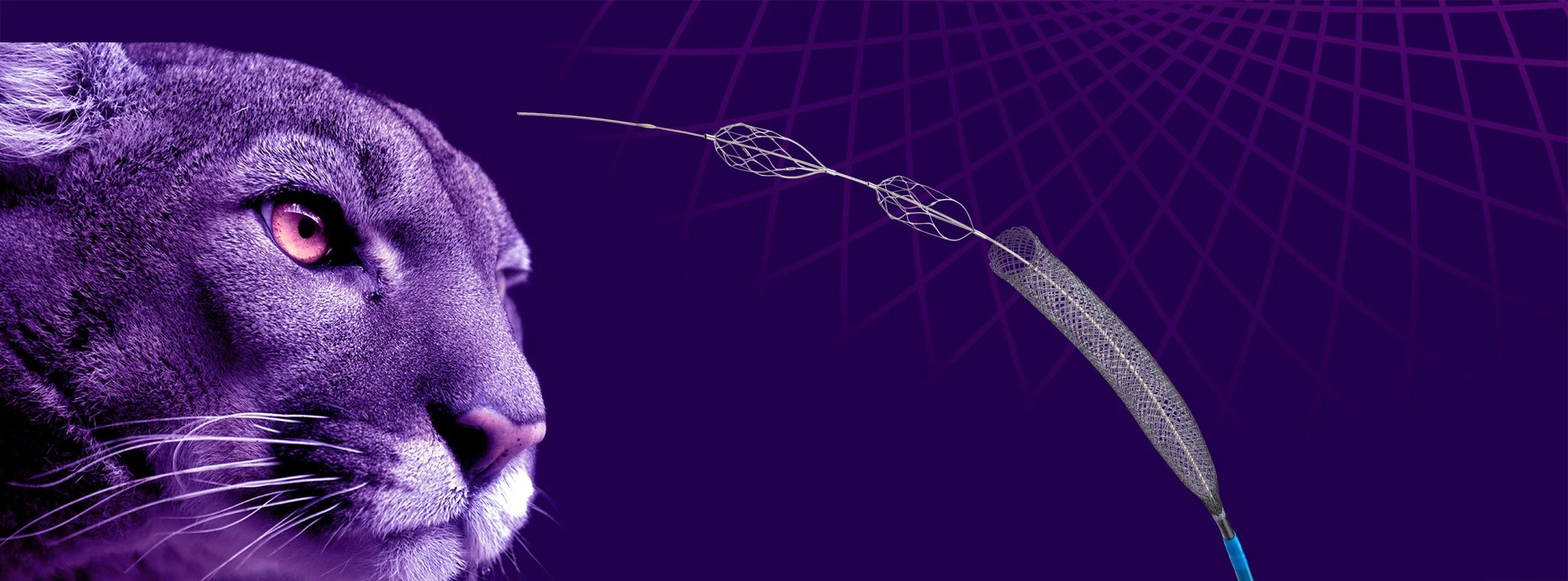 Pounce™ Thrombectomy System