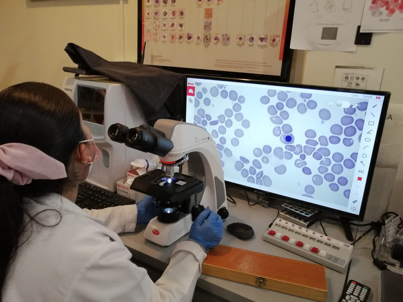 Análisis y Servicios — Laboratorio Alba