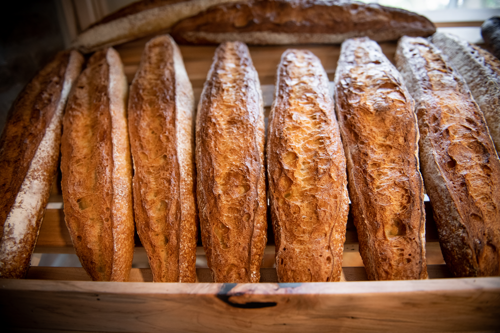 Classes and Events — Little Loaf Bakery & Schoolhouse