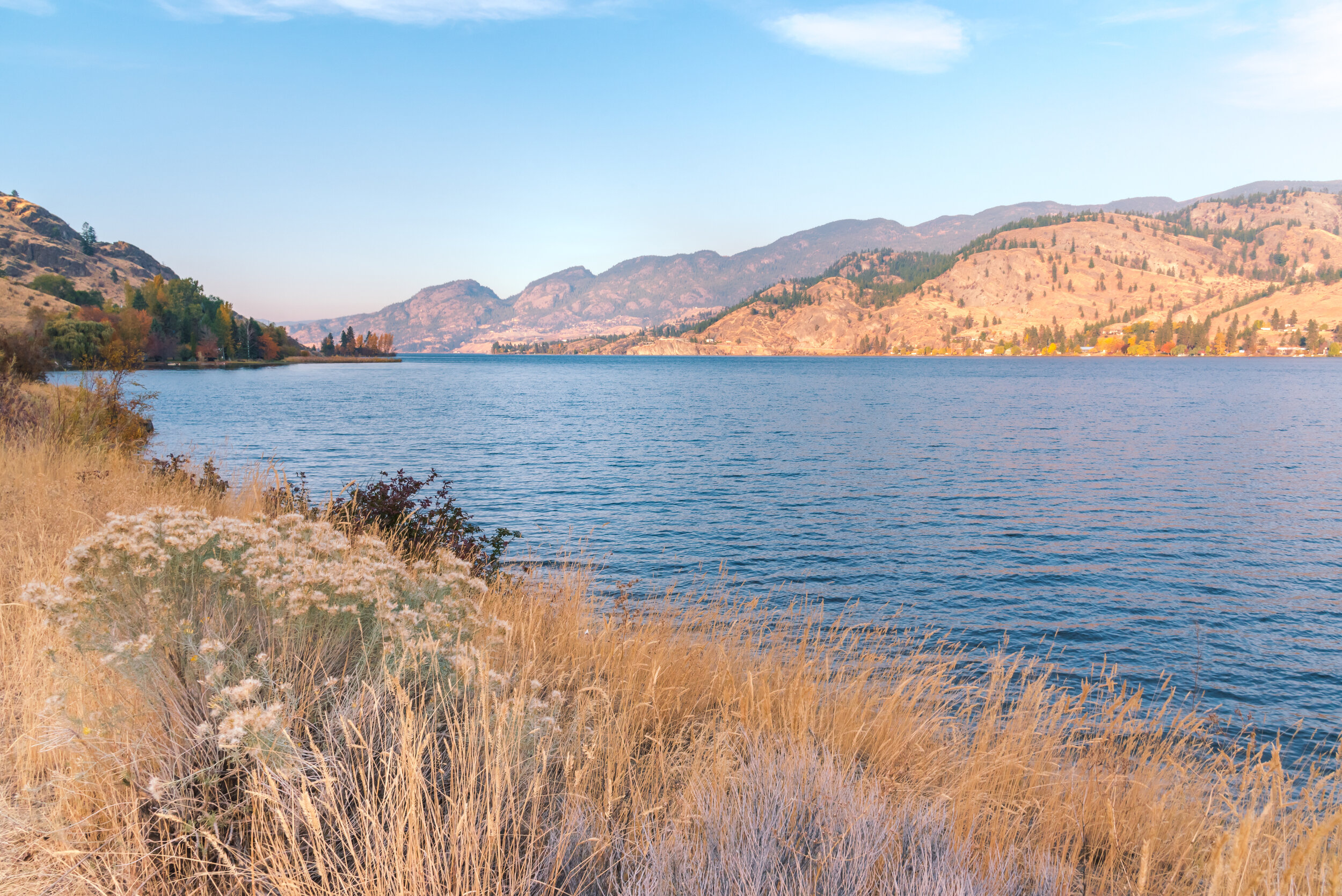 Preview Package — Deer Meadows Estates | Now Selling