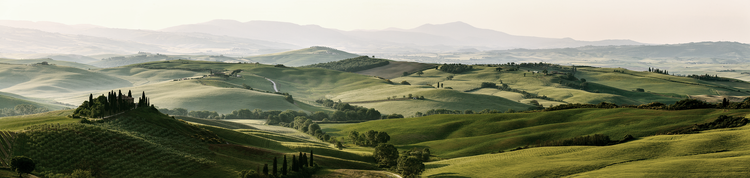 Deer Meadows Estates | Now Selling