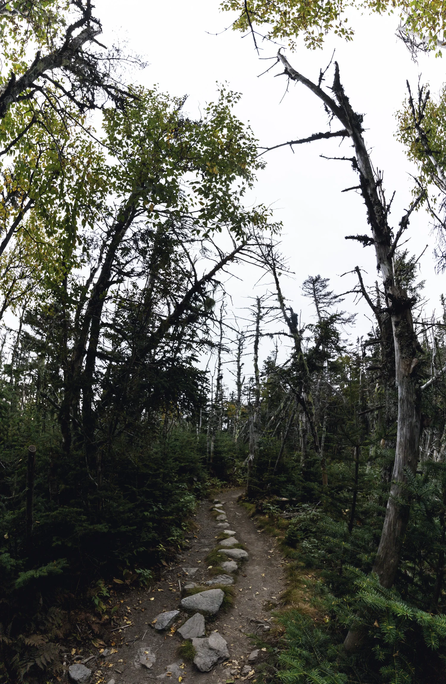 Climb Into The Clouds - Hiking The Franconia Notch Ridgeline Loop ...