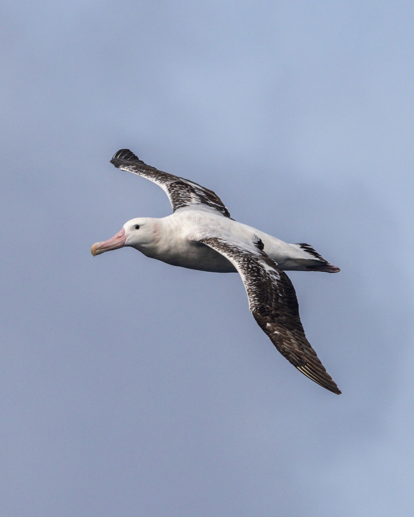 Long Island — Jack W Cox: Expedition Cinematography & Photography
