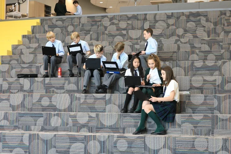 Celebrate Our Story — STS 50th Anniversary