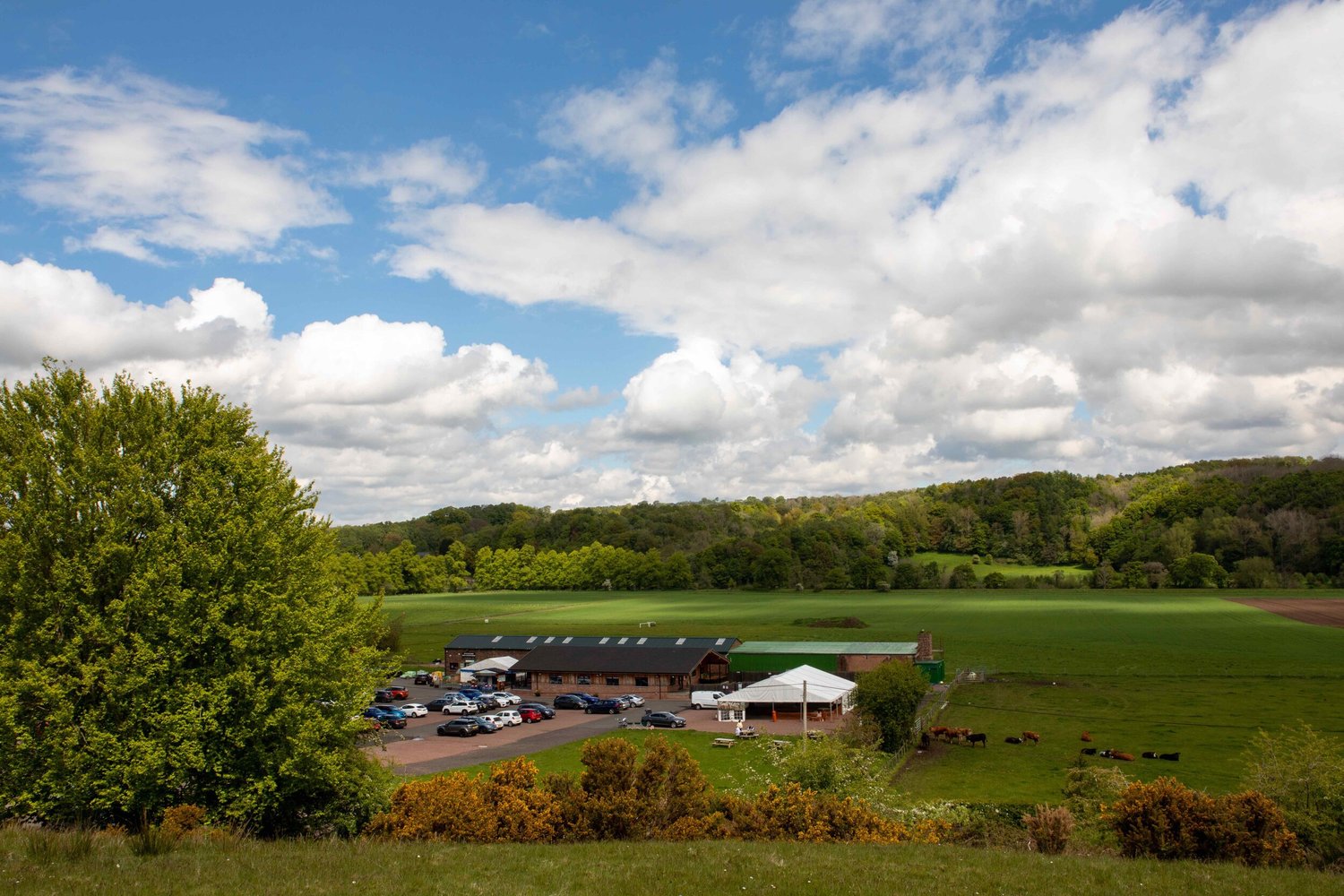 Overton Farm - our members | Discover the best of Lanarkshire Food & Drink