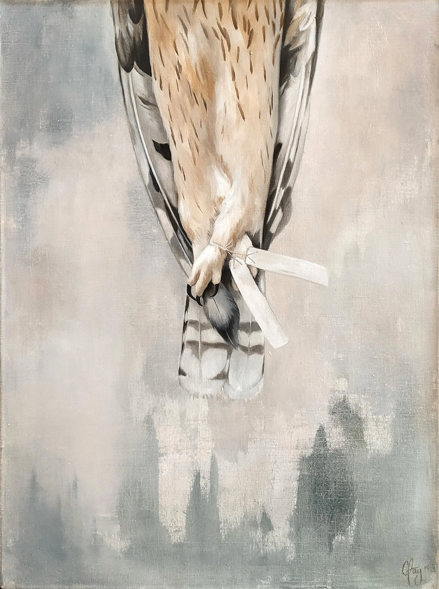 Nature Morte — CAROLINE FAY