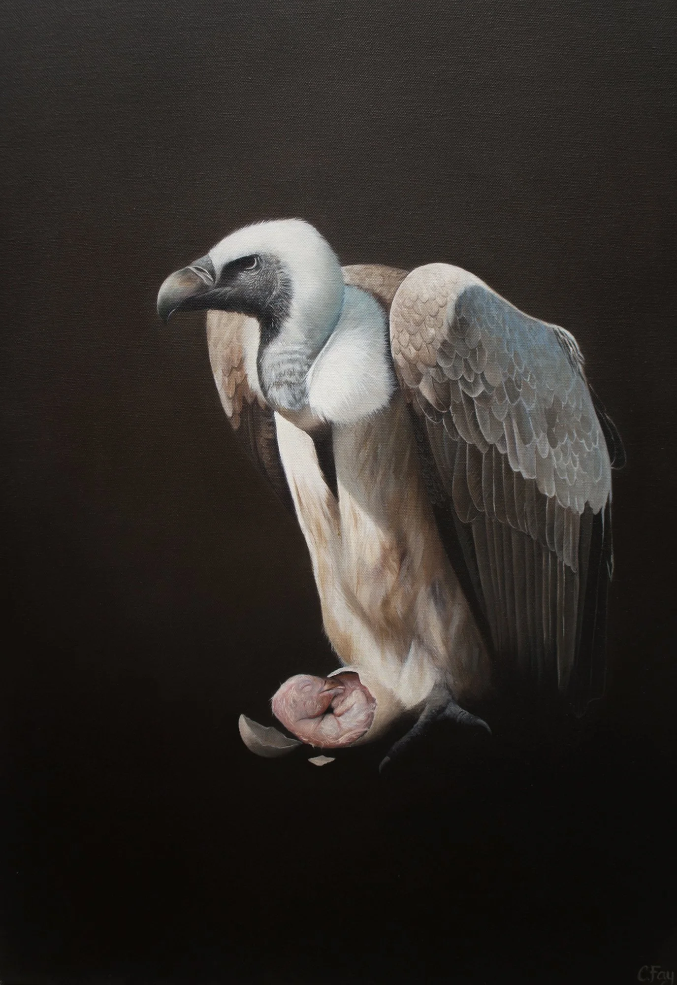 Nature Morte — CAROLINE FAY