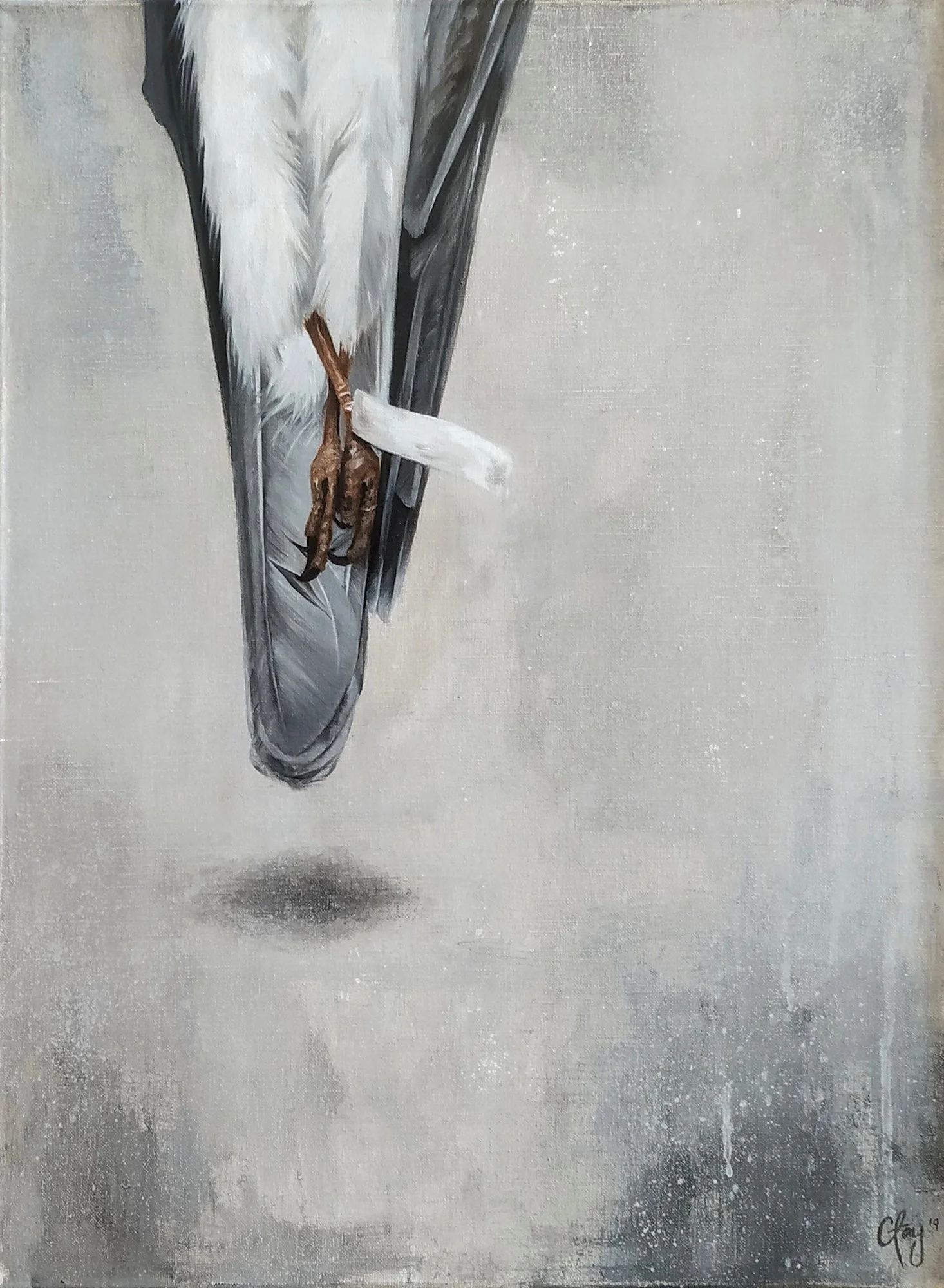 Nature Morte — CAROLINE FAY