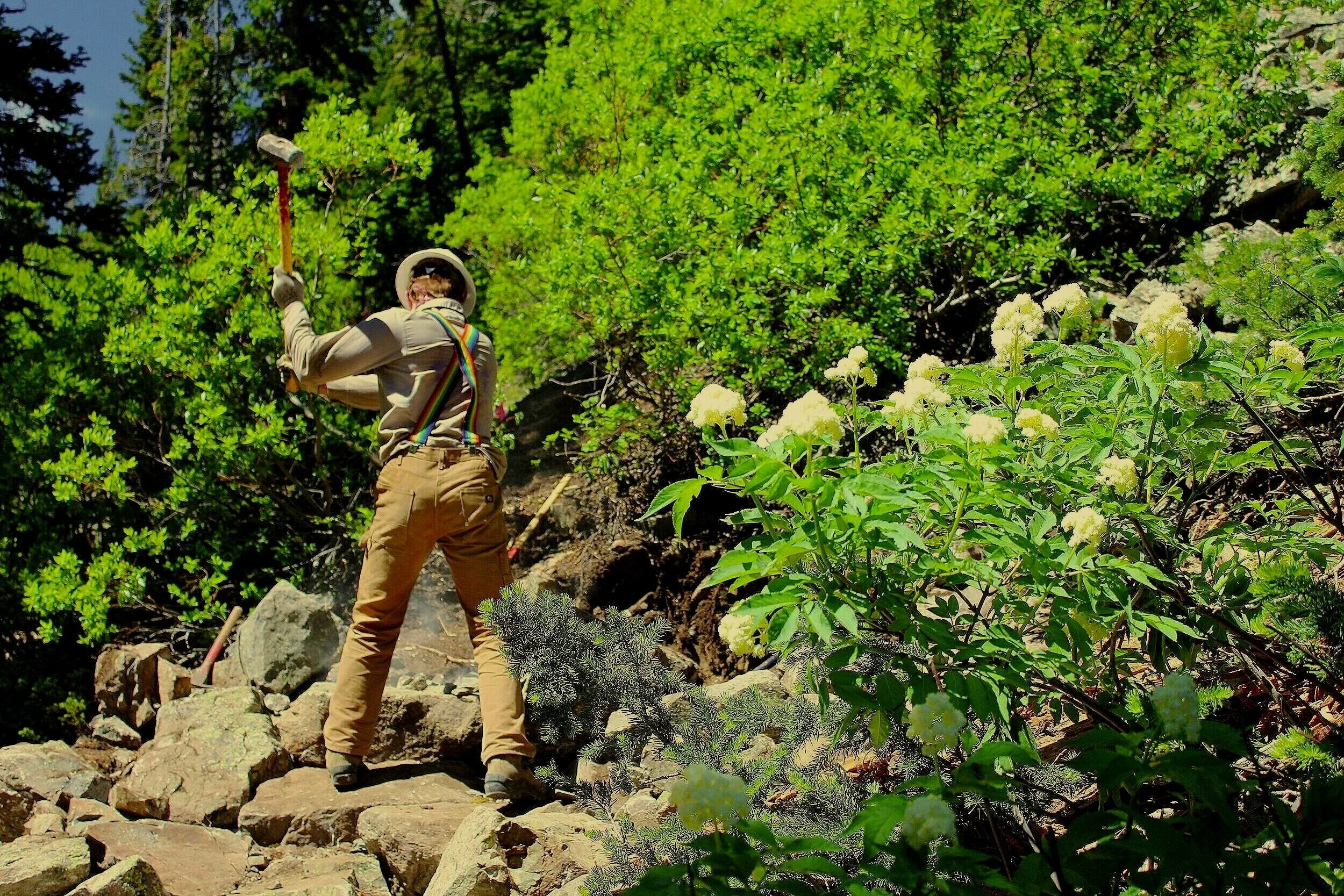 Sustainable Trail Design