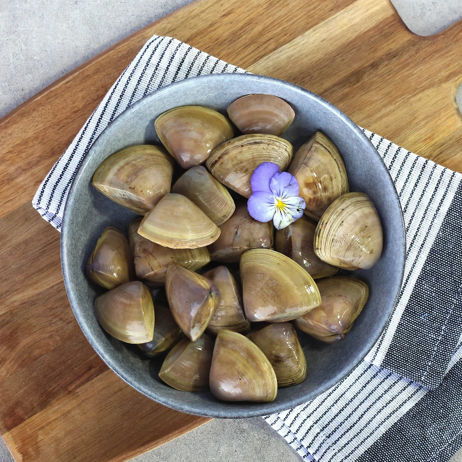 Clams — Shop Seafood — Saltwater Seafoods NZ