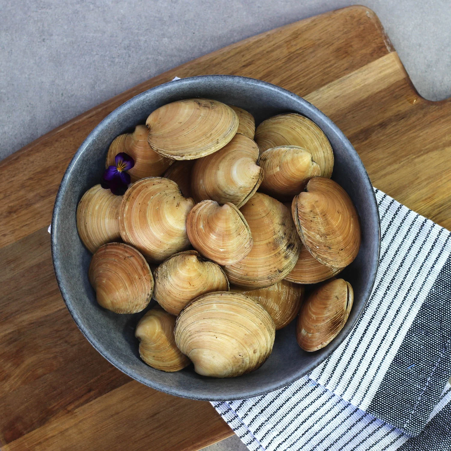 Tua Tua Clams 1KG — Saltwater Seafoods NZ