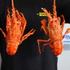 Crayfish + Lobster — Shop Seafood — Saltwater Seafoods NZ