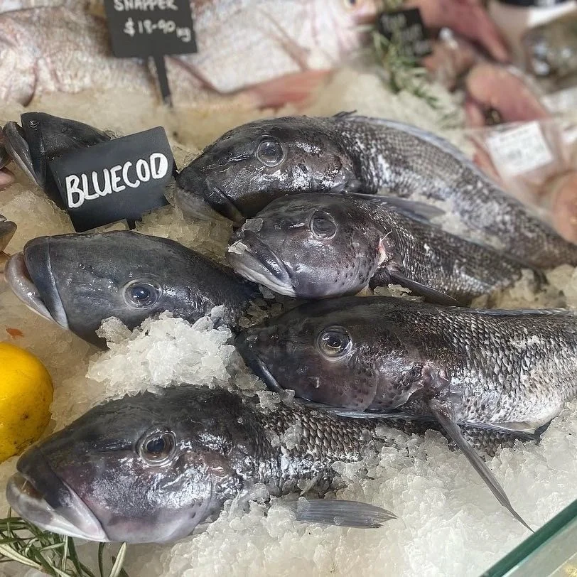 Hapuka Groper Steaks (Skin-On, Bone-In) — Saltwater Seafoods NZ