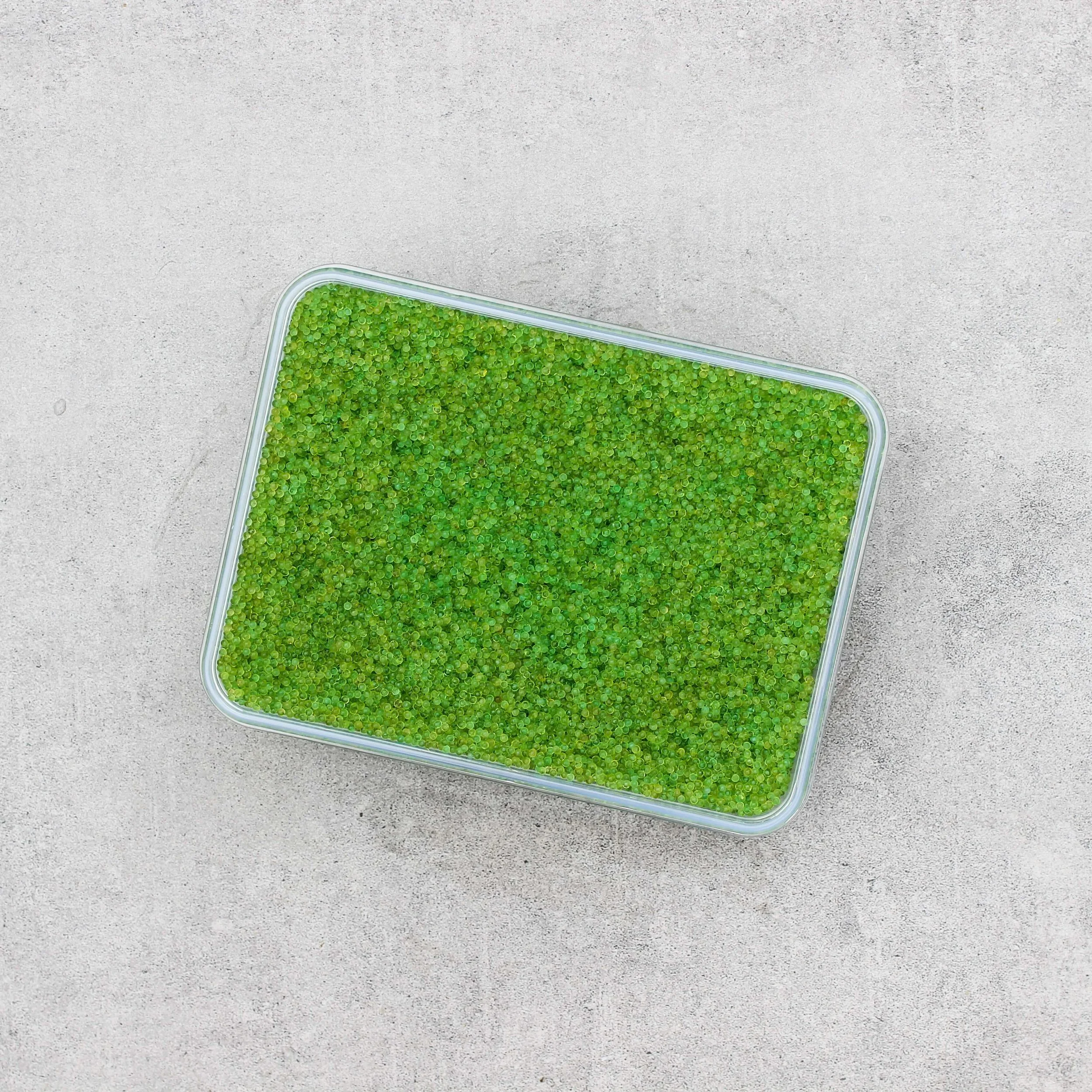 Sashimi — Shop Seafood — Saltwater Seafoods NZ