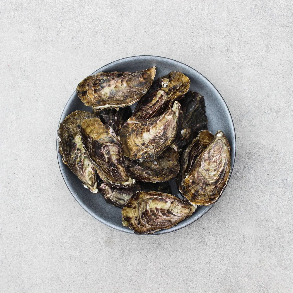 Pacific Oyster Pot — Saltwater Seafoods NZ