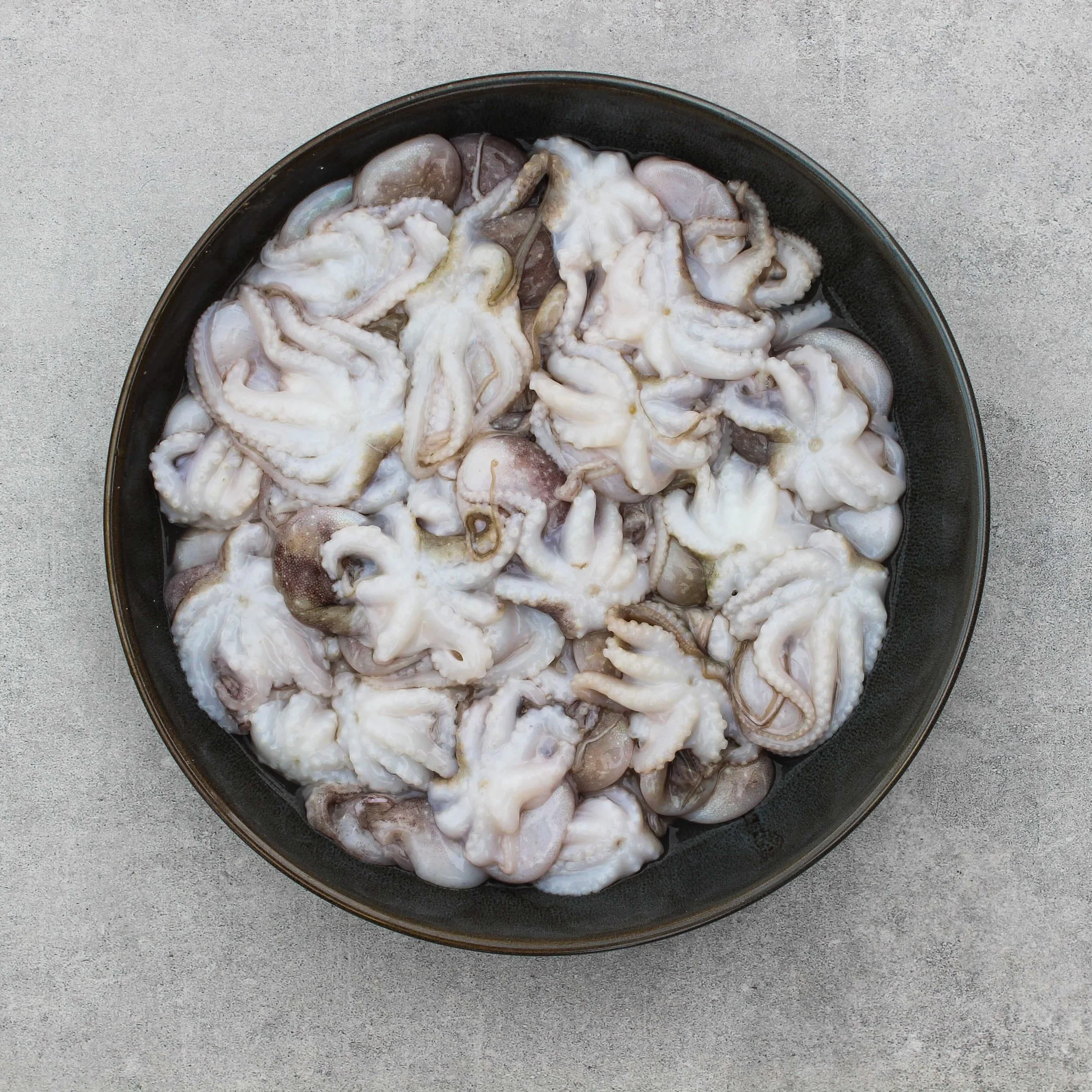 Squid + Octopus — Shop Seafood — Saltwater Seafoods NZ