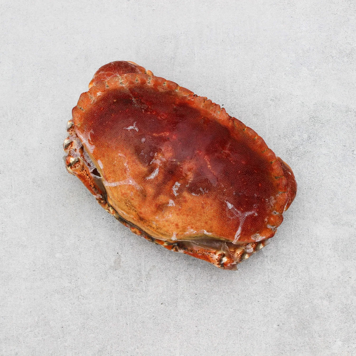 New Zealand Whitebait — Saltwater Seafoods NZ