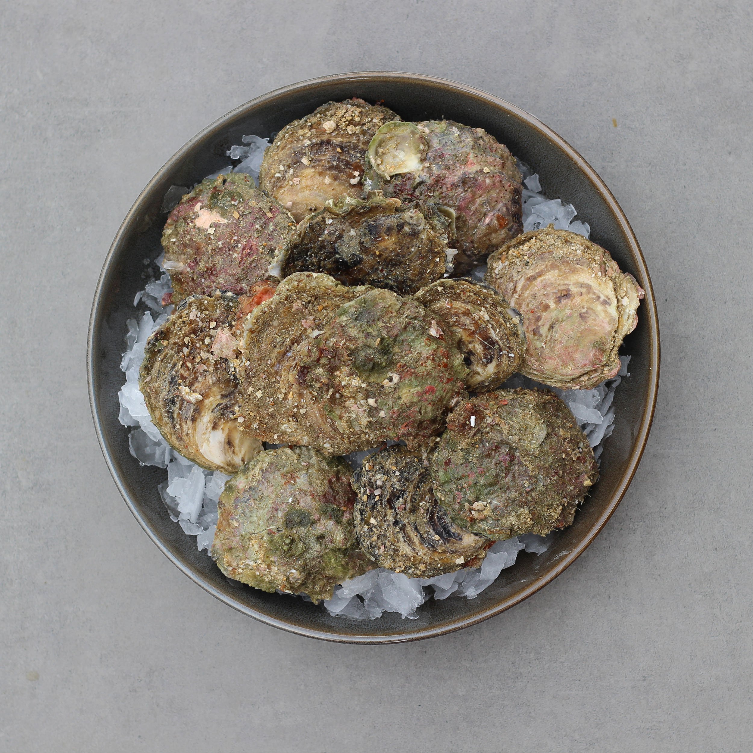 Pacific Oyster Pot — Saltwater Seafoods NZ