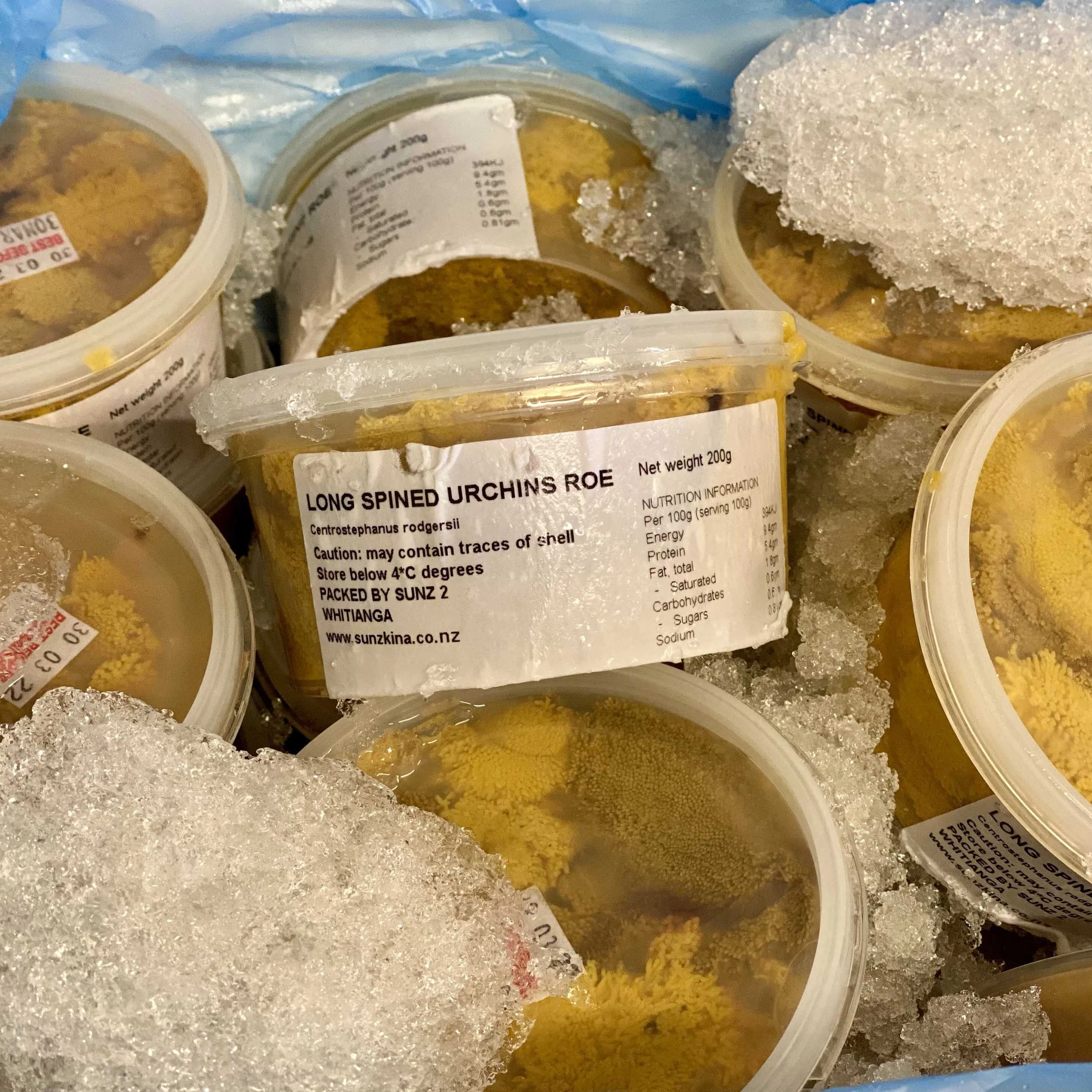 Fresh SUNZ Coromandel Kina — Saltwater Seafoods NZ