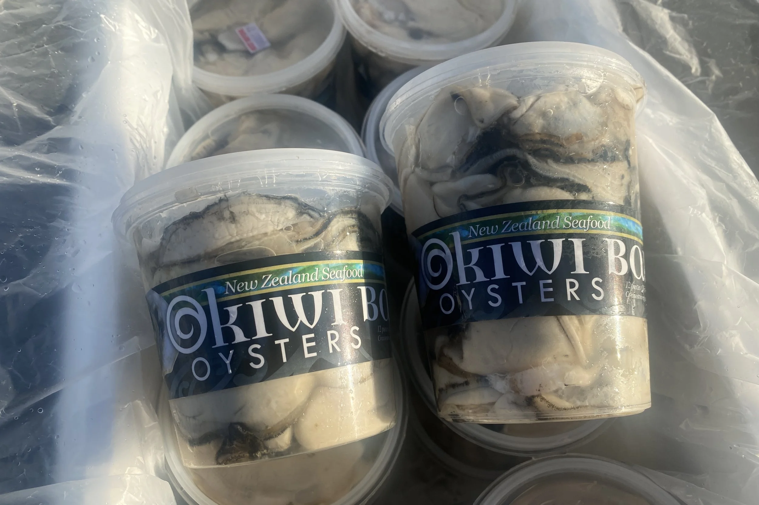 Pacific Oyster Pot — Saltwater Seafoods NZ