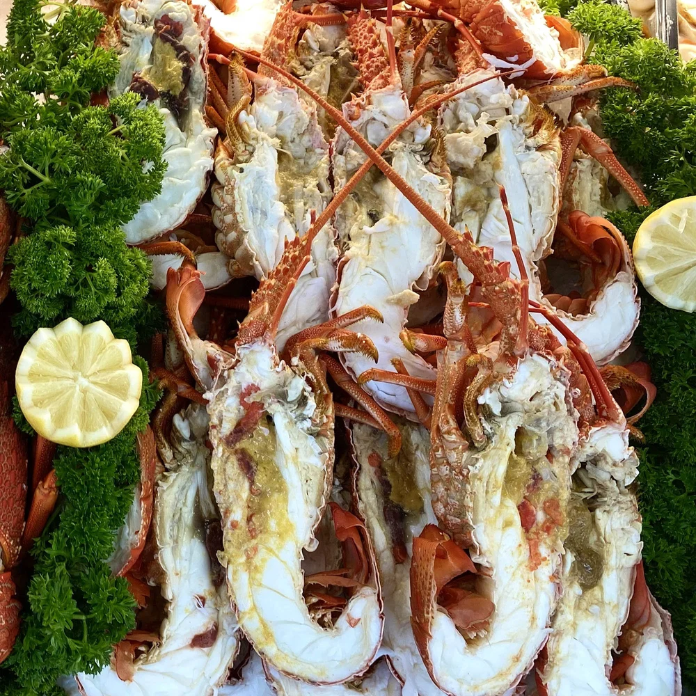Crayfish (Whole Fresh) — Saltwater Seafoods NZ