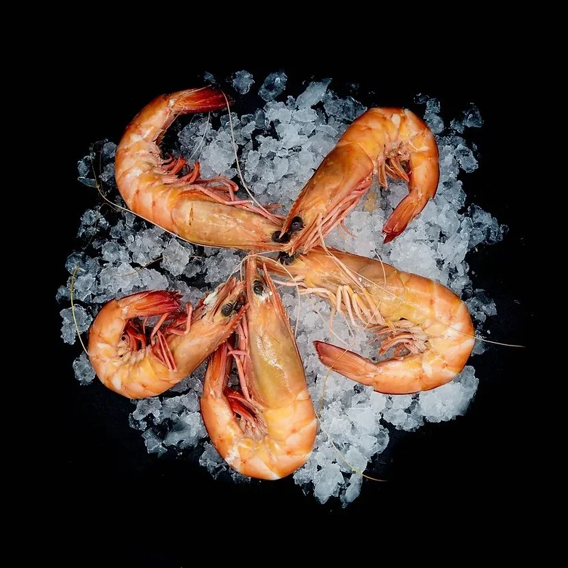 Whole Raw Australian King Prawn (XXL) — Saltwater Seafoods NZ