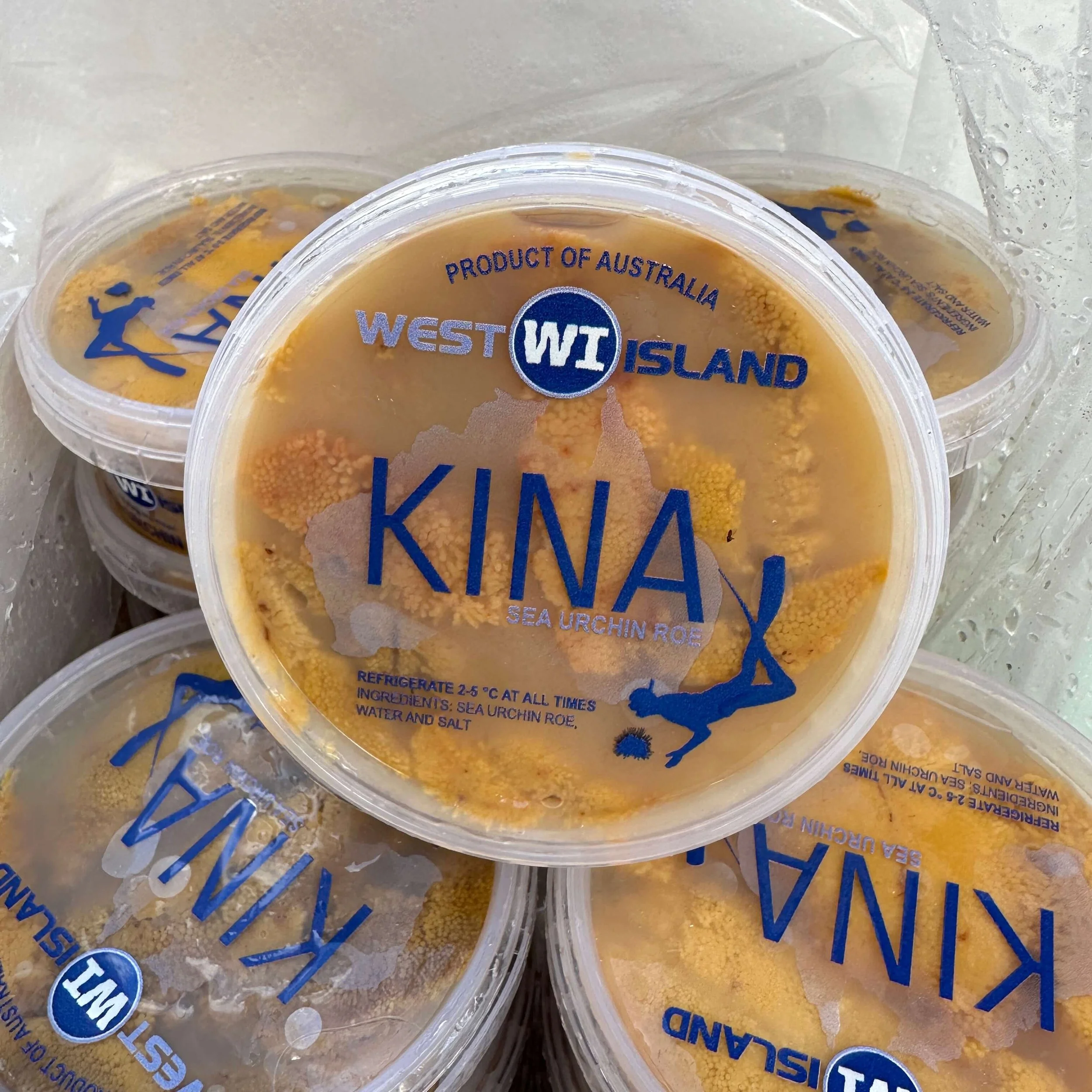 Chatham Island Kina — Saltwater Seafoods NZ