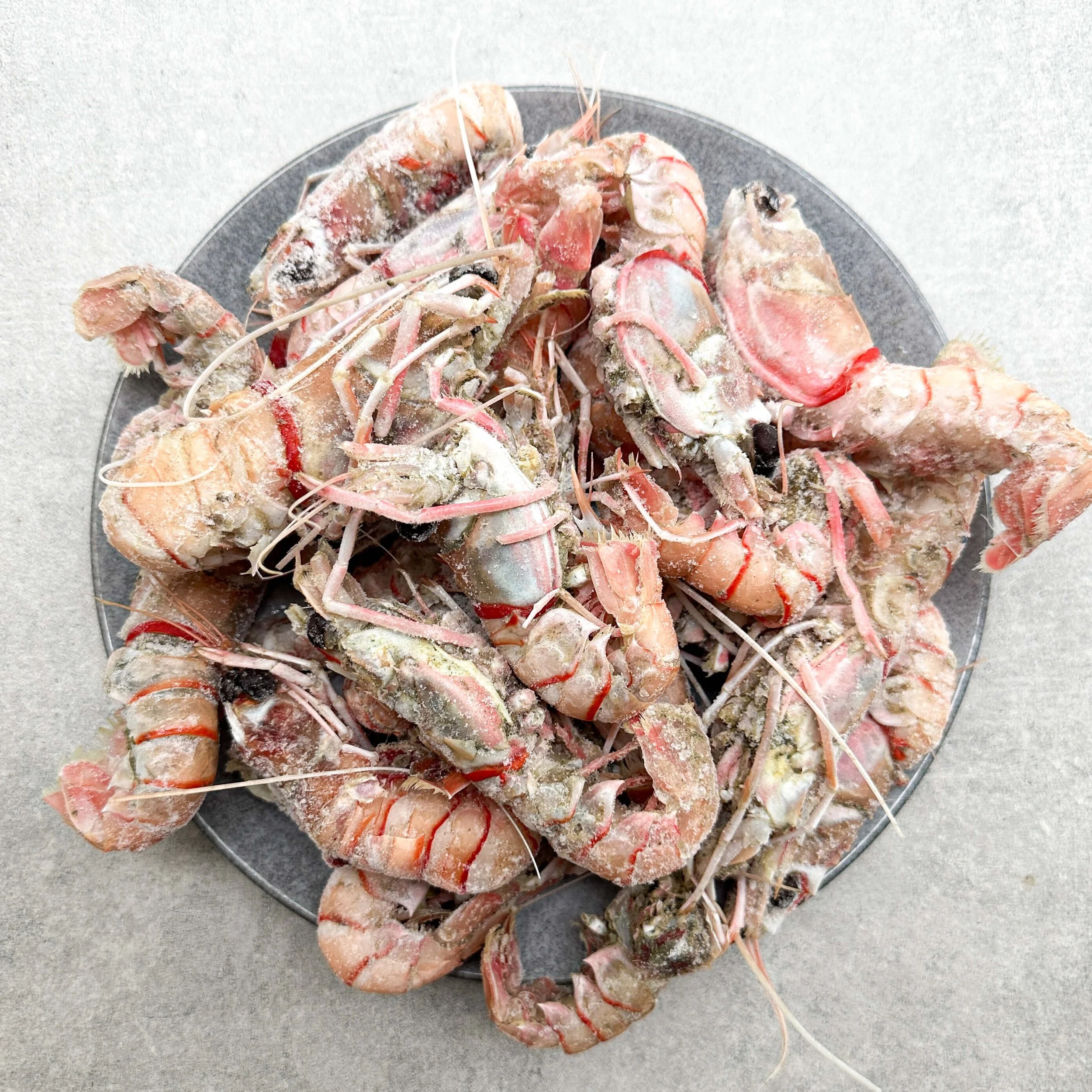 Prawns — Shop Seafood — Saltwater Seafoods NZ