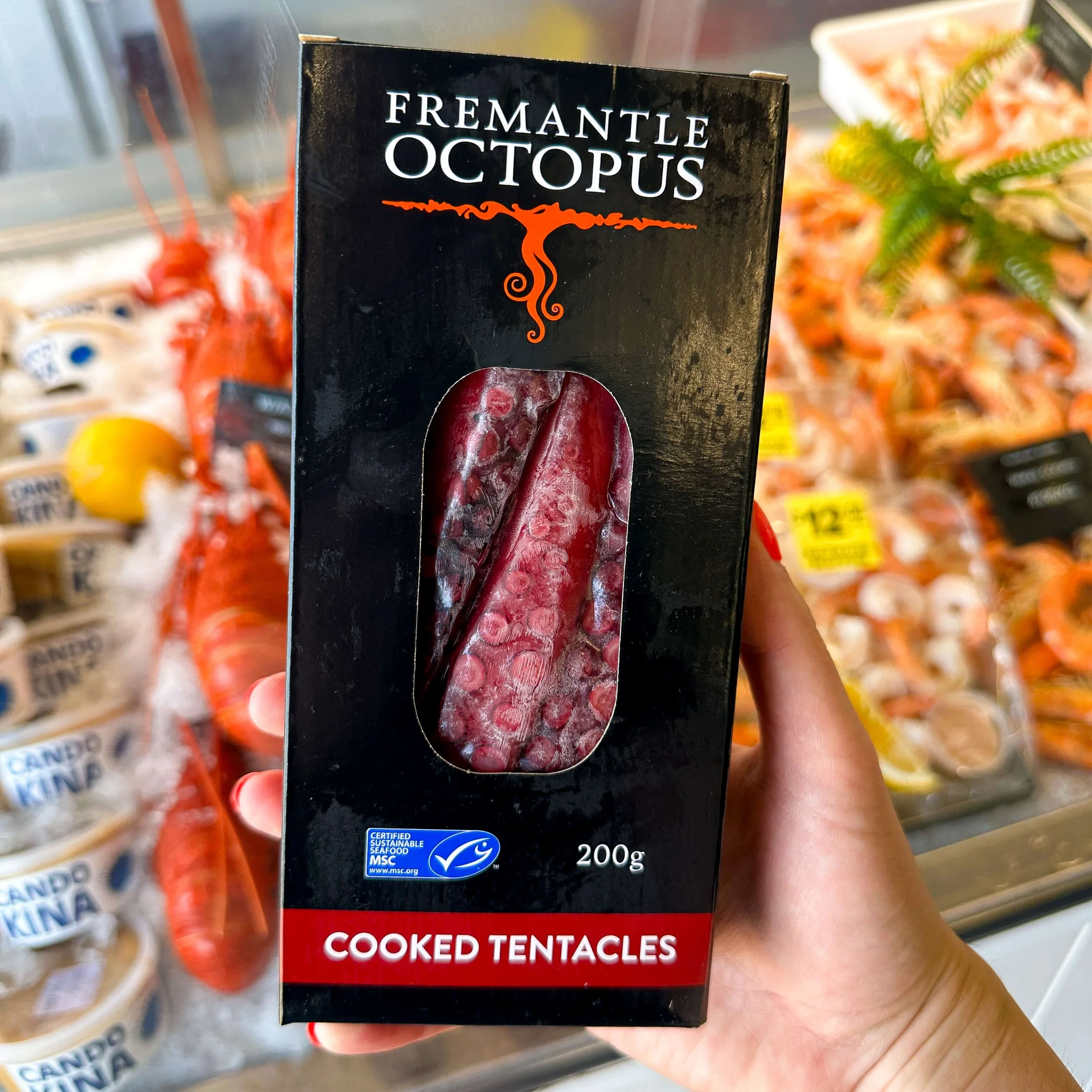 Fremantle Octopus Tentacles (Raw) 1KG — Saltwater Seafoods NZ