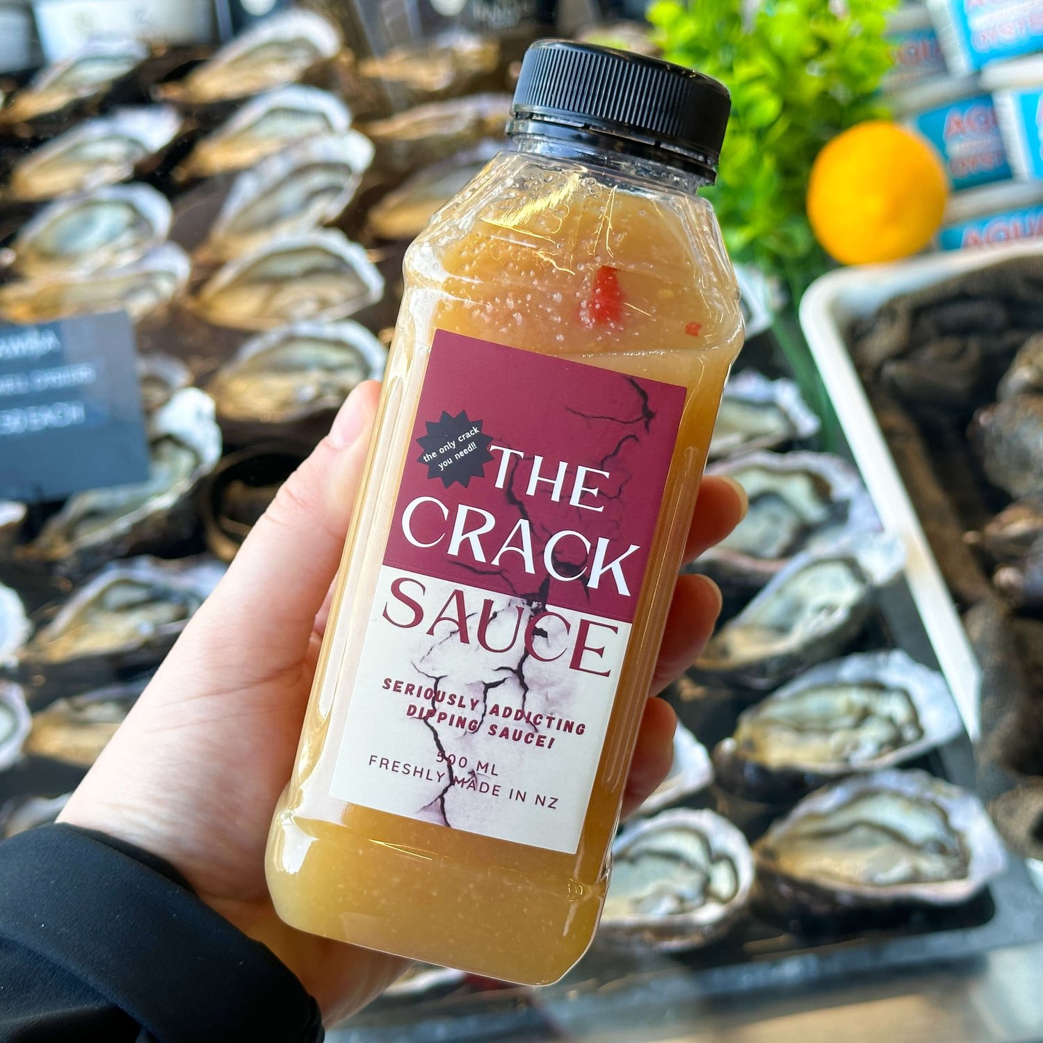 All Fresh Fish — Shop Seafood — Saltwater Seafoods NZ