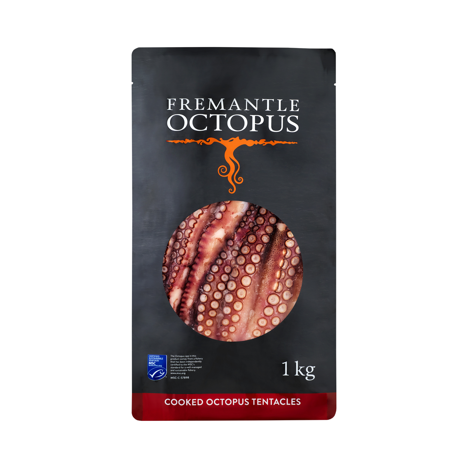 Frozen Seafood — Shop Seafood — Saltwater Seafoods NZ