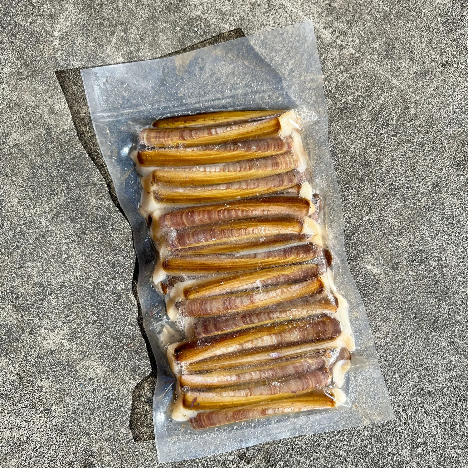 Scallops — Shop Seafood — Saltwater Seafoods NZ