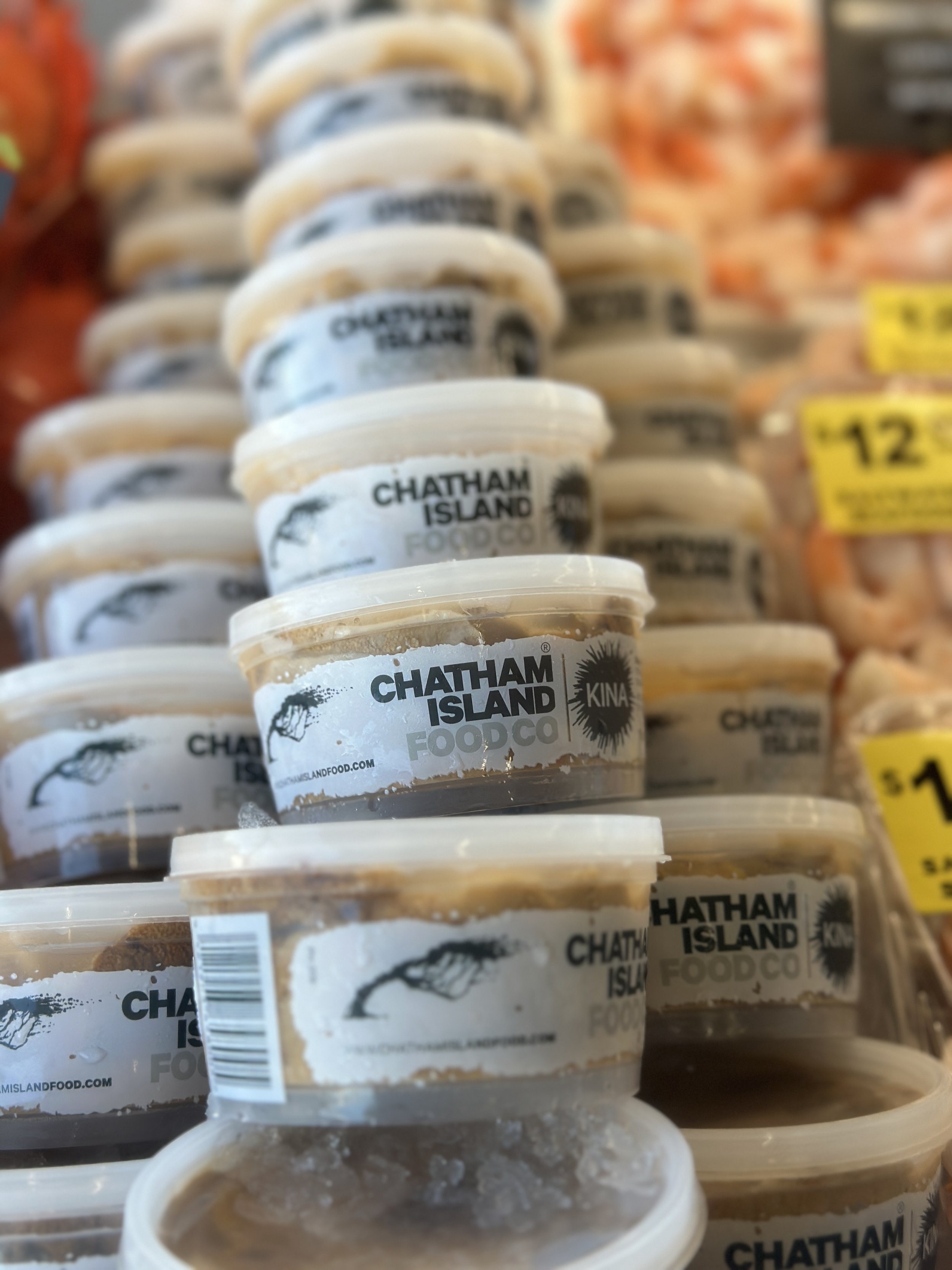 Kina — Shop Seafood — Saltwater Seafoods NZ