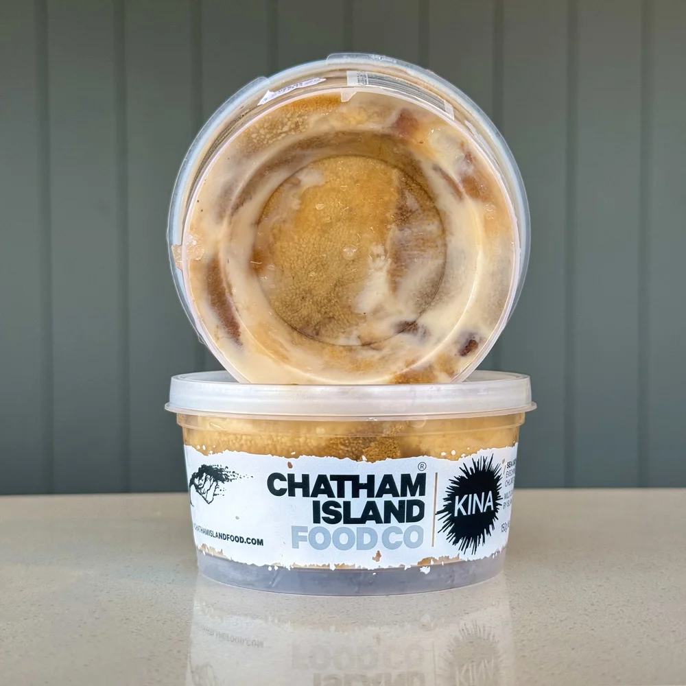 Kina — Shop Seafood — Saltwater Seafoods NZ