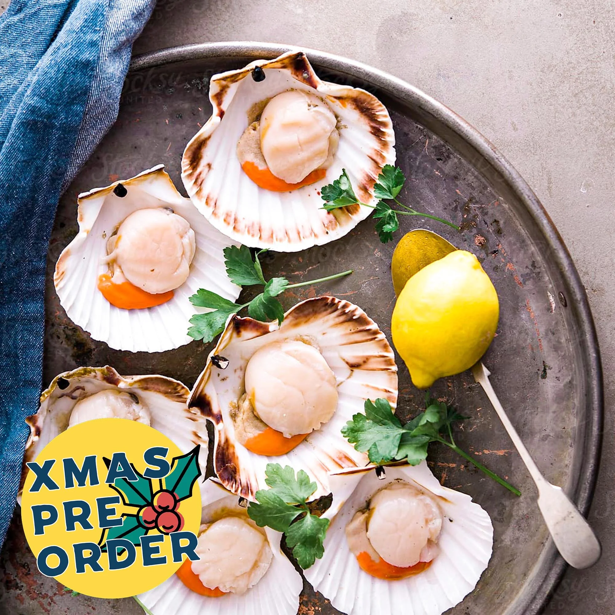 Shop Seafood — Saltwater Seafoods NZ