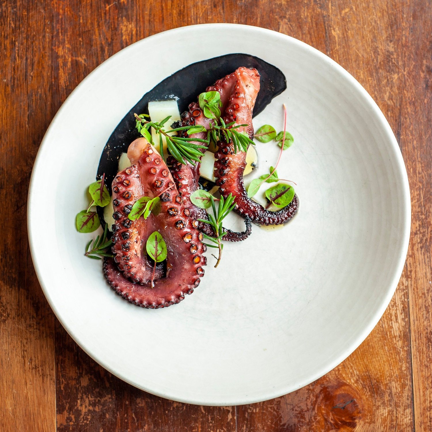 Fremantle Octopus New Zealand — Saltwater Seafoods NZ