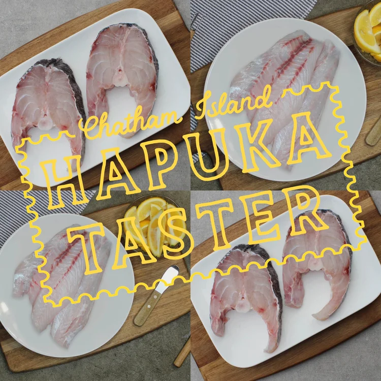 Shop Seafood — Saltwater Seafoods NZ