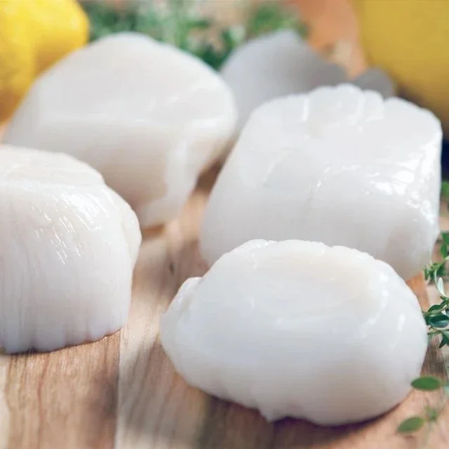 Tasmanian Scallops (Frozen) — Saltwater Seafoods NZ