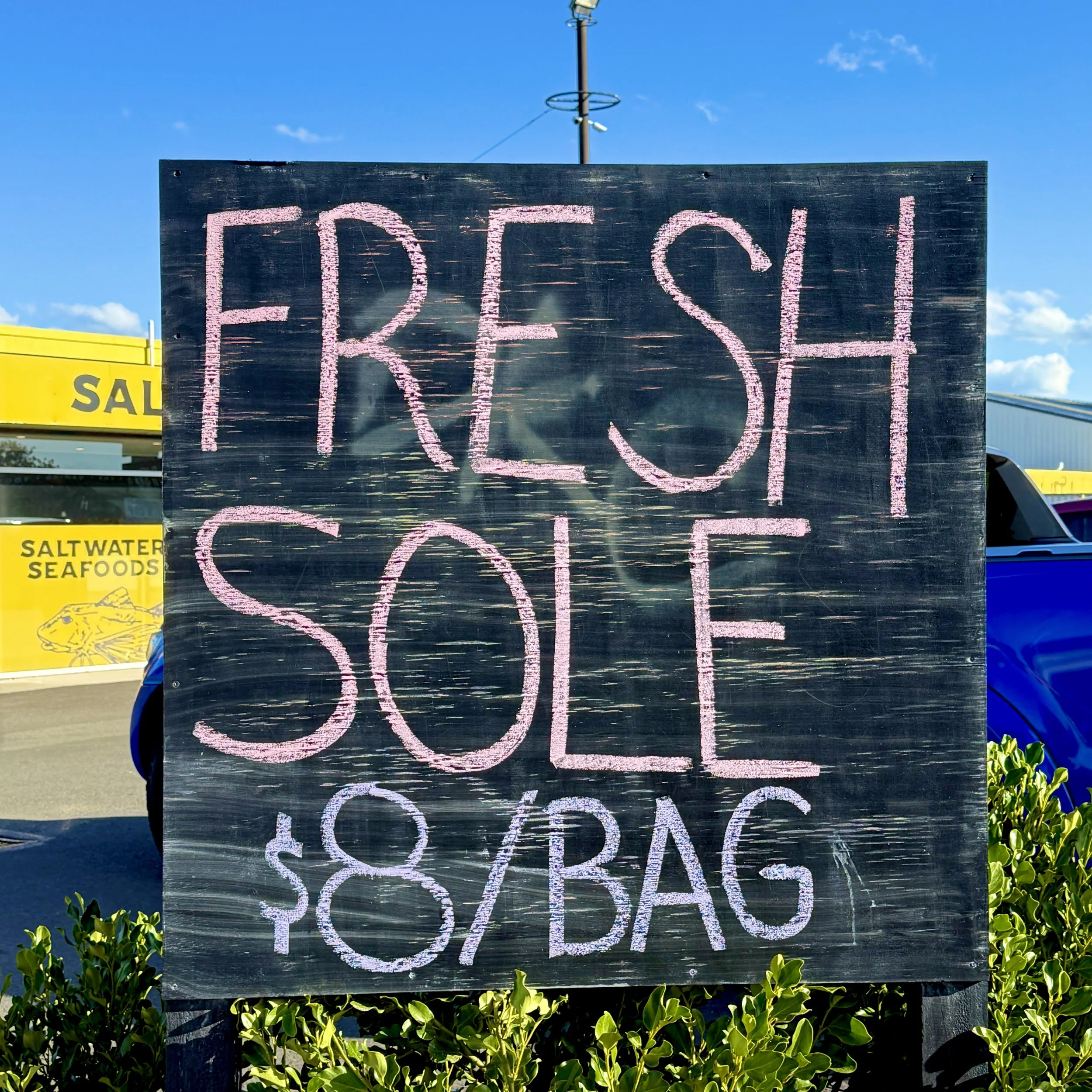 Tarakihi Fillets — Saltwater Seafoods NZ