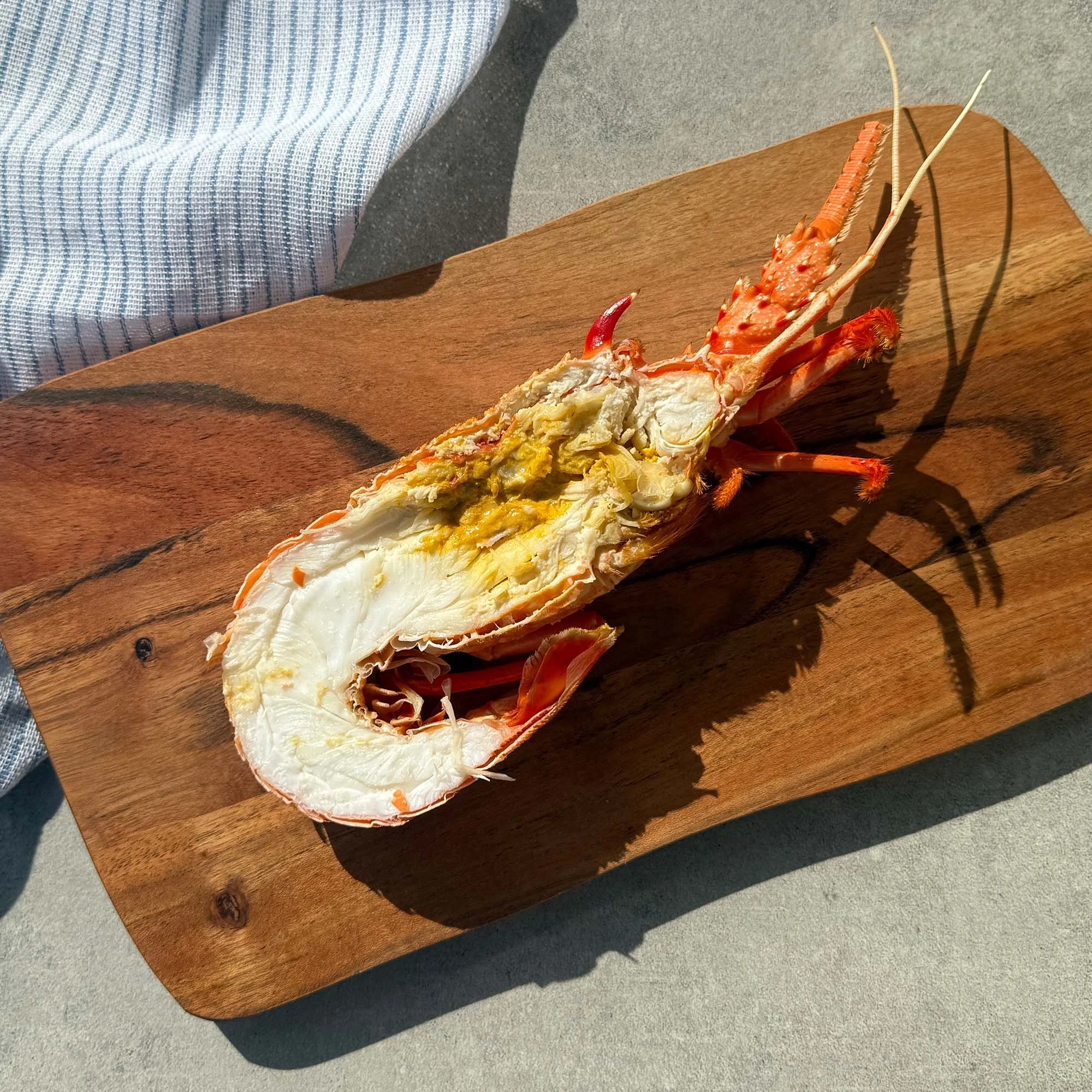 Crayfish + Lobster — Shop Seafood — Saltwater Seafoods NZ